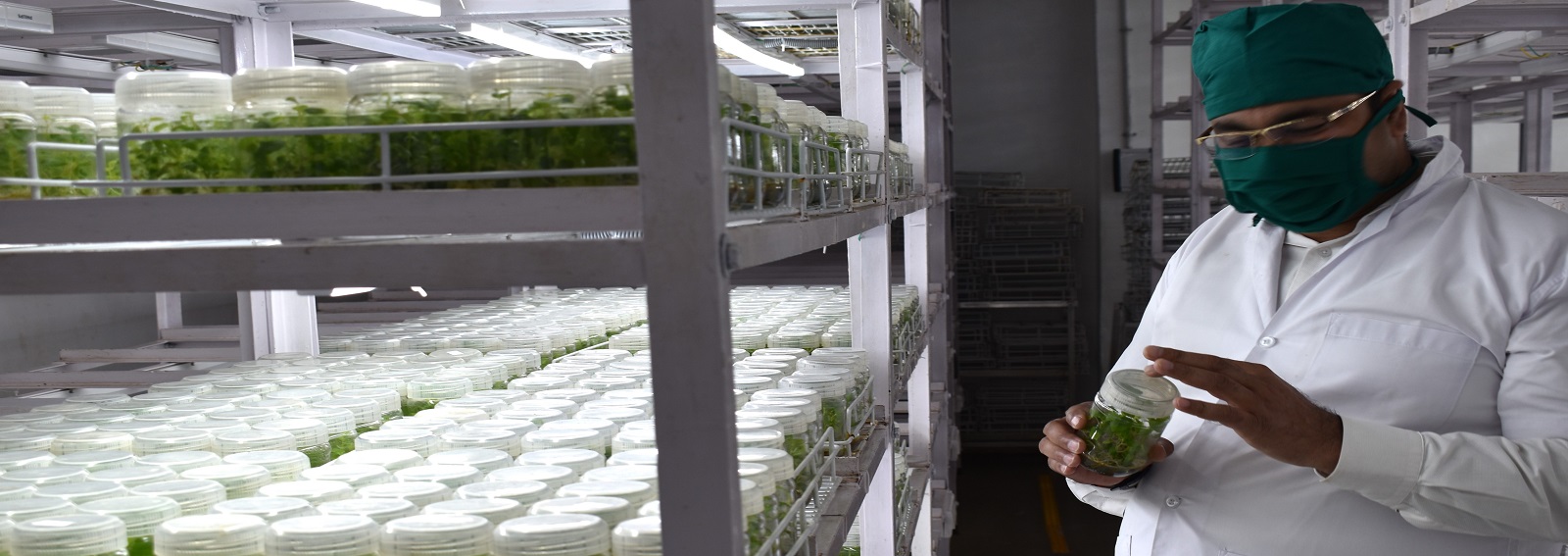 BRIC-National Institute of Plant Genome Research